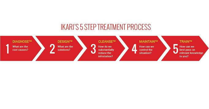 a-5-step | IKARI – Solution to your pest problem