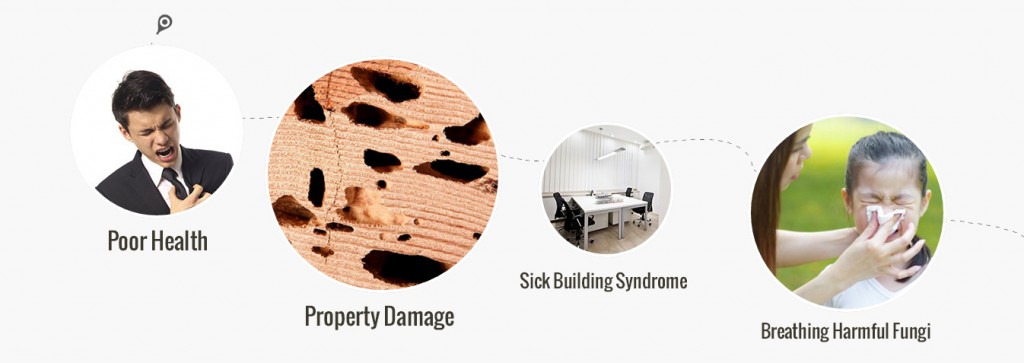ikari-syndrome | IKARI – Solution to your pest problem