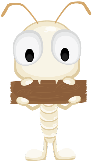 termite-nom | IKARI – Solution to your pest problem